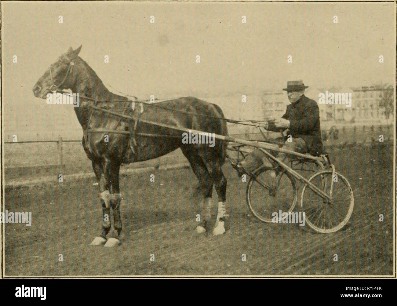 The driving clubs of greater Stock Photo - Alamy