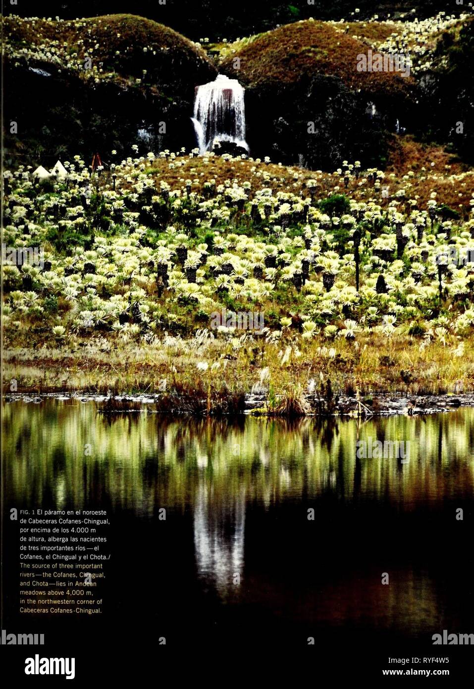 Cofanes hi-res stock photography and images - Alamy