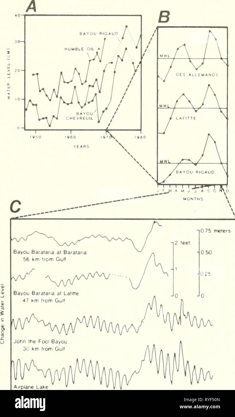 The ecology of delta marshes Stock Photo - Alamy
