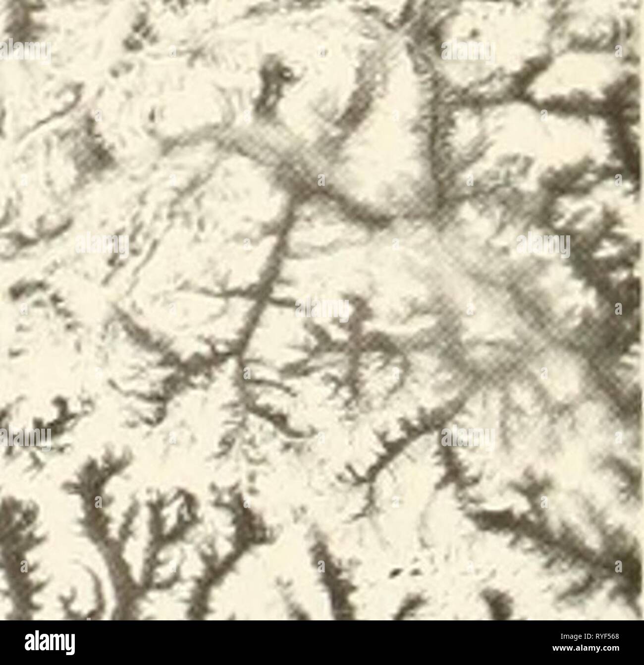 Ecological investigations of the tundra biome in the Prudhoe Bay region ...