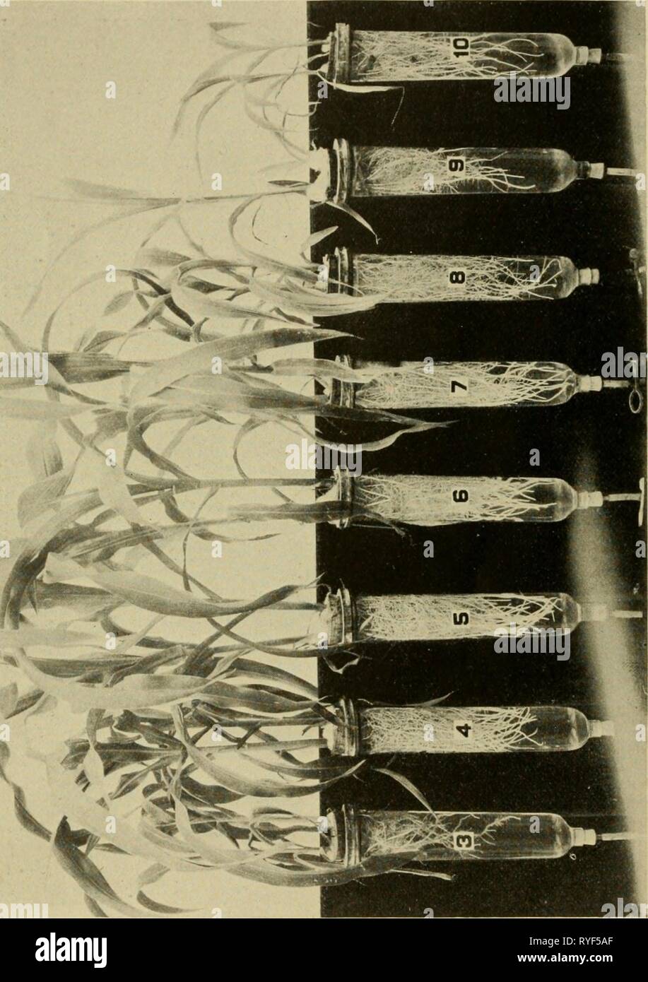 Effect of different reactions on Stock Photo - Alamy