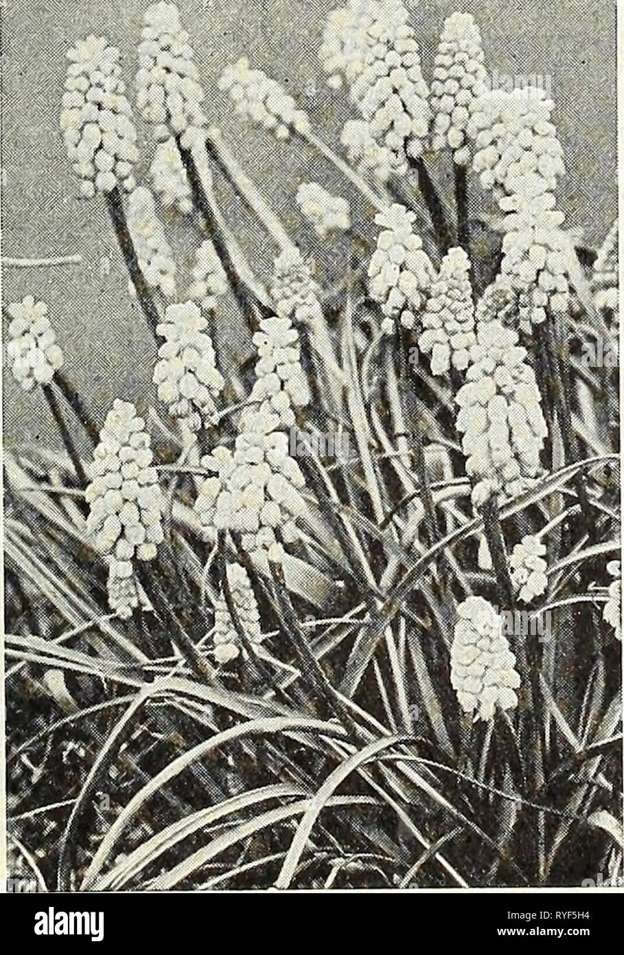 Inverted p hi-res stock photography and images - Alamy