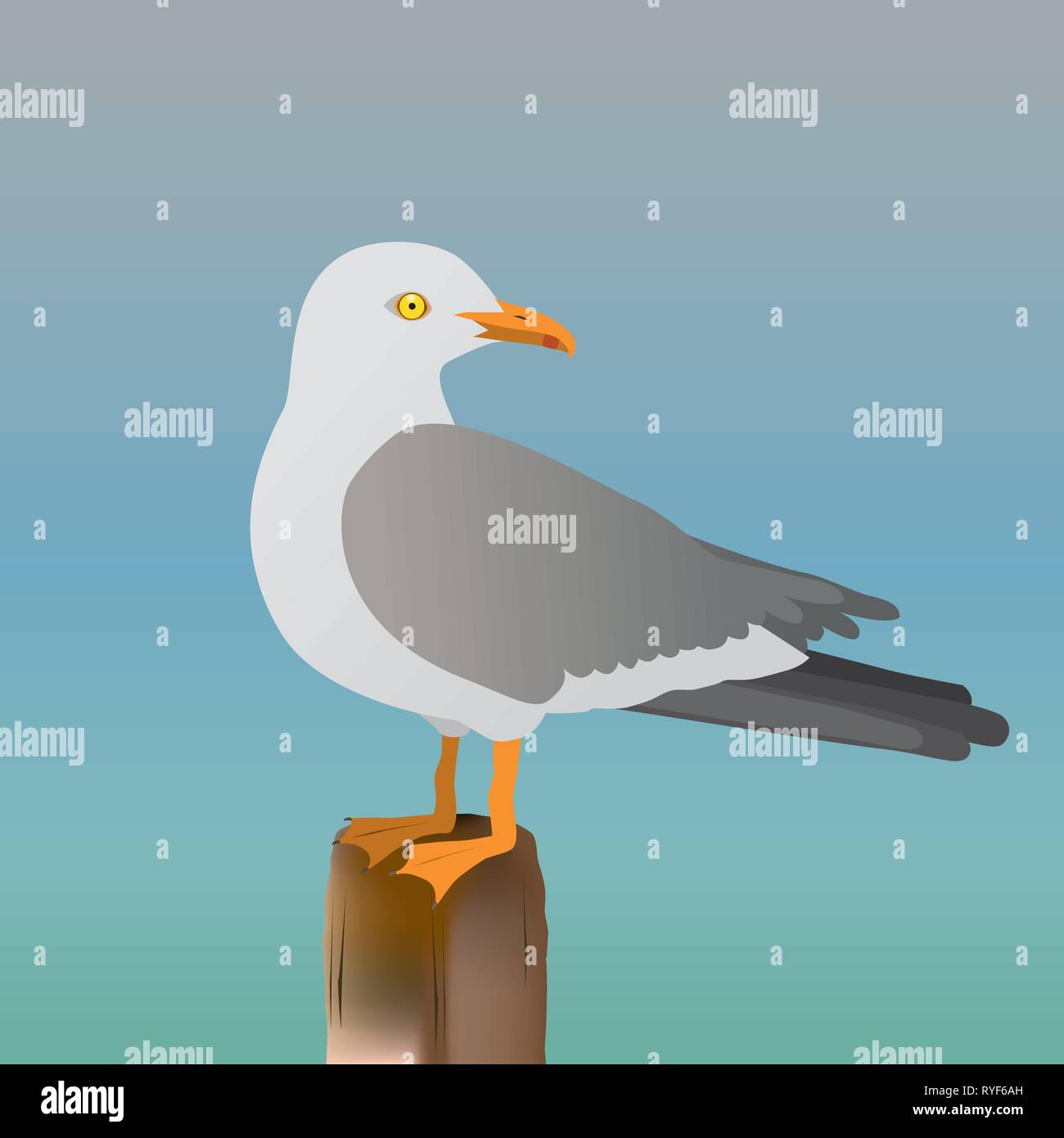 Seagull standing on sea Stock Vector Images - Alamy