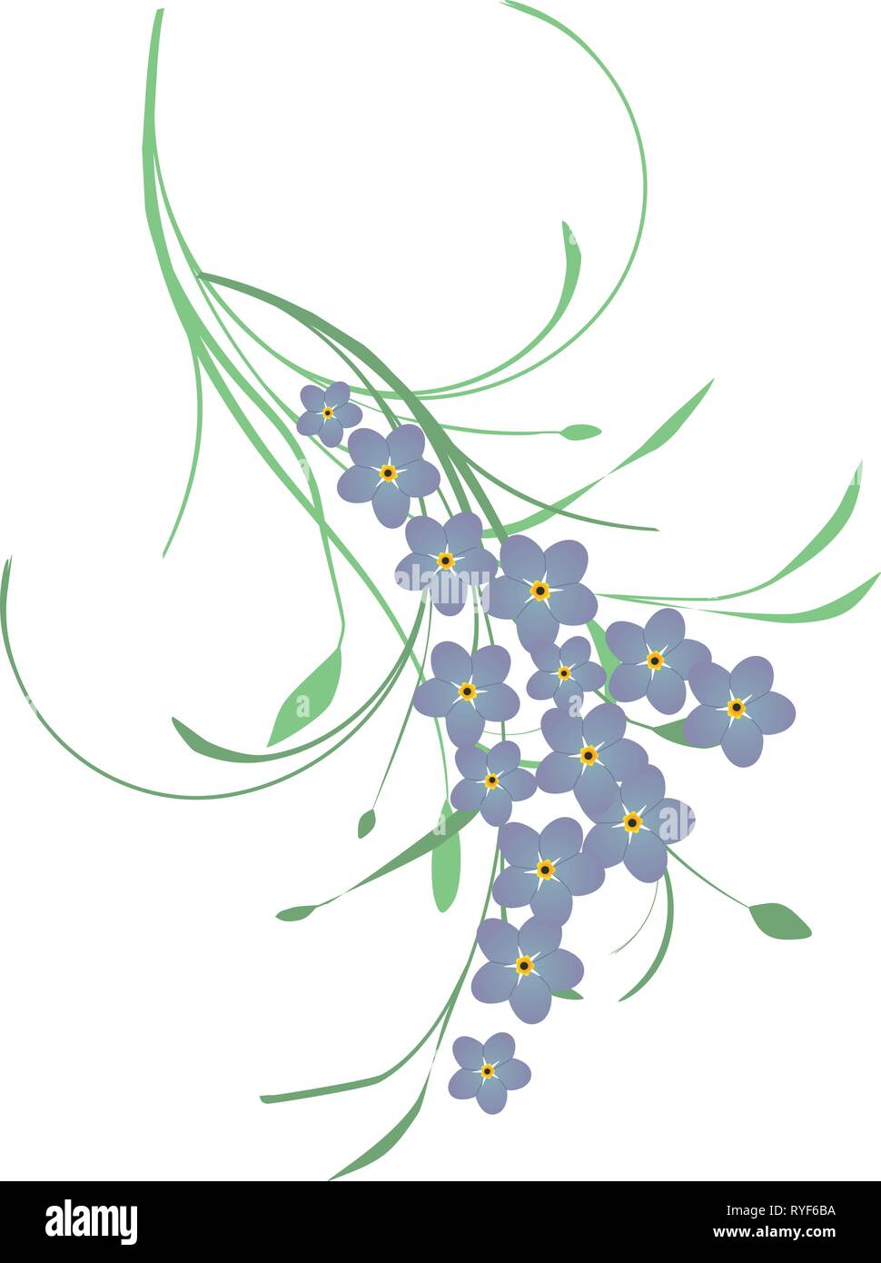 Flowers in garden forget Stock Vector Images - Alamy