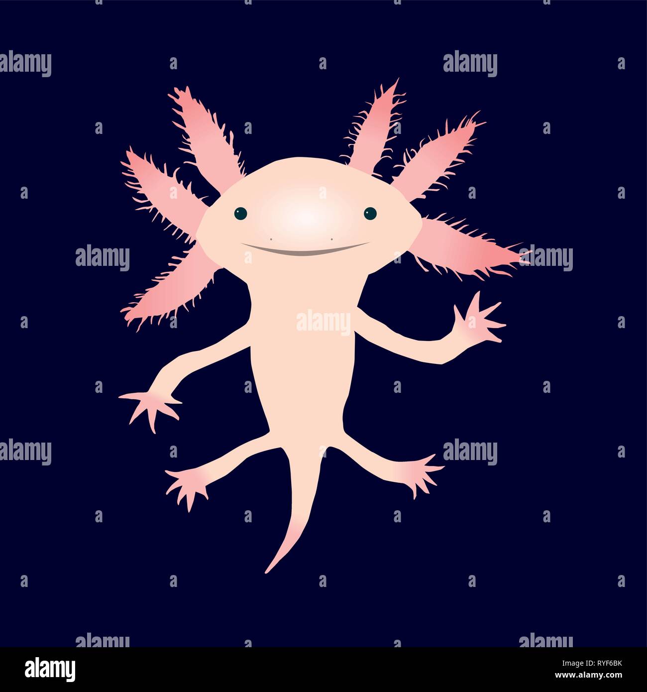 An illustration of a cute axolotl Stock Vector Image & Art - Alamy