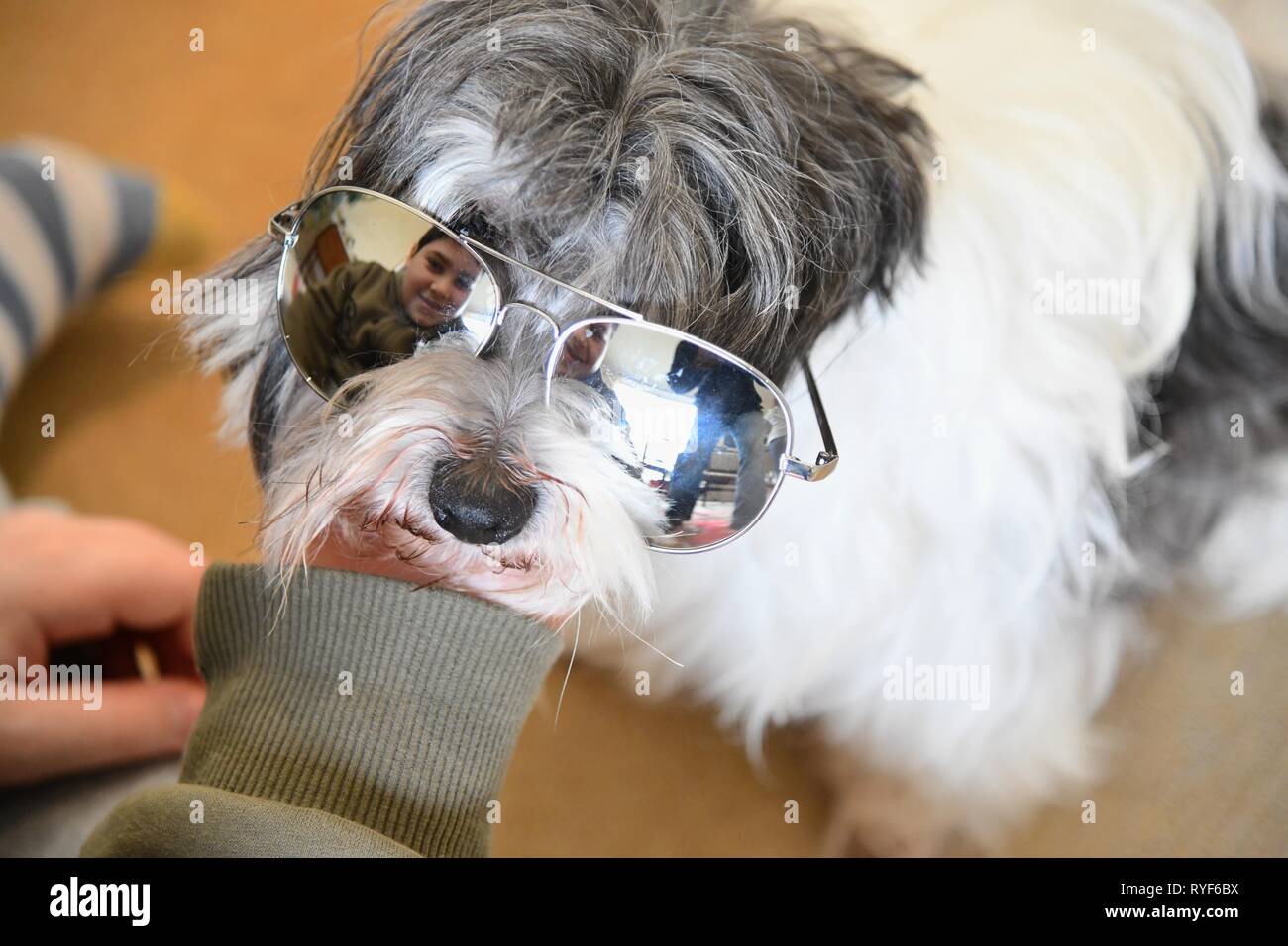 Maltejack hi-res stock photography and images - Alamy