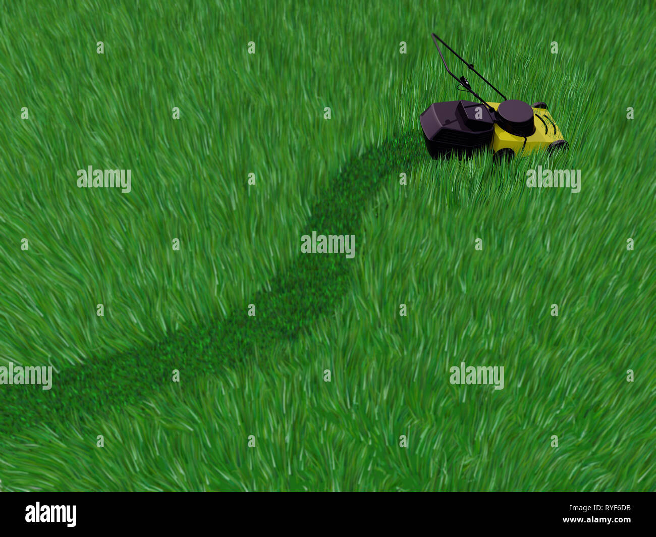 grass field cut by lawn mower, 3d illustration Stock Photo - Alamy