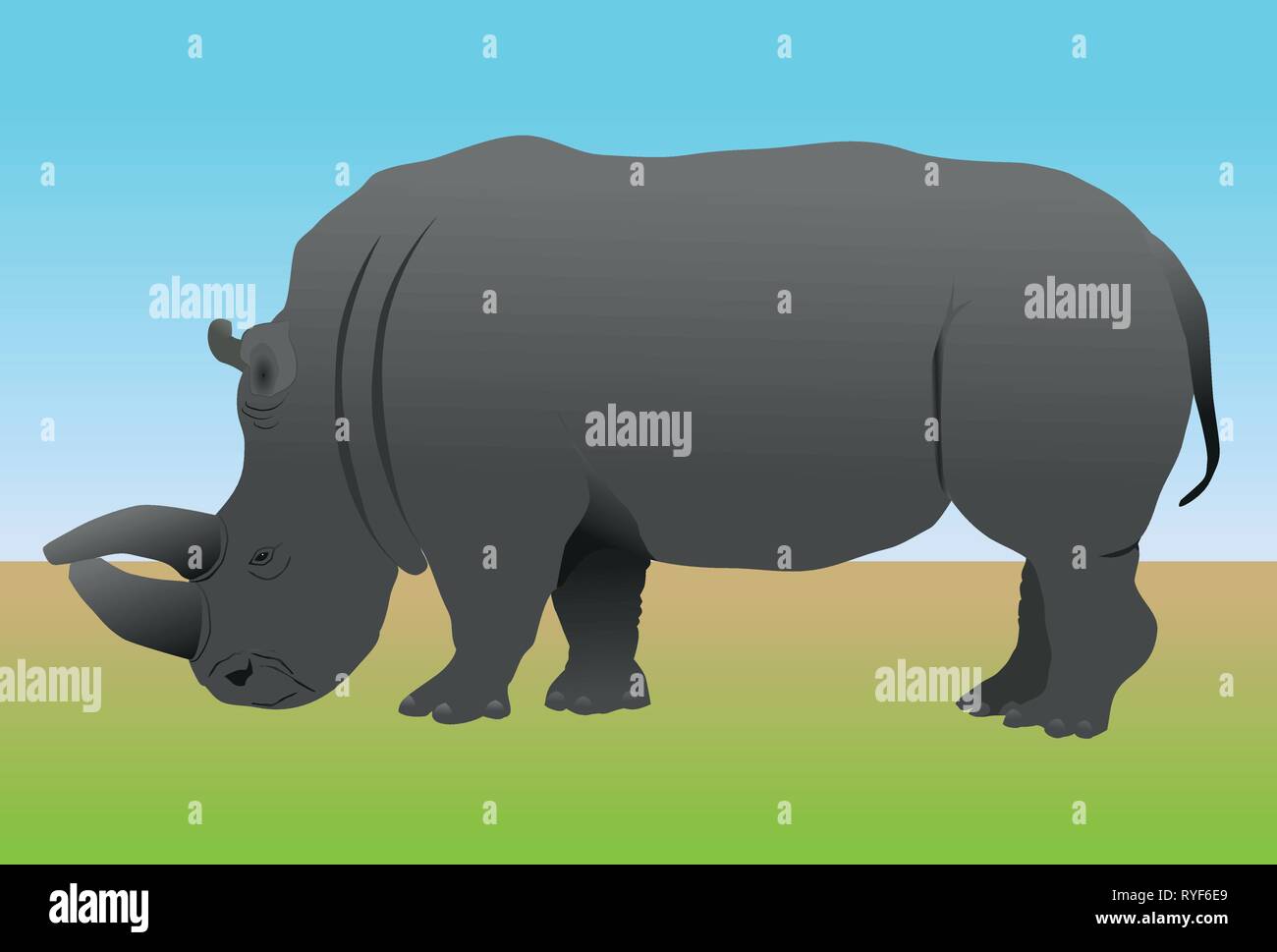 Javan Rhino Clip Art