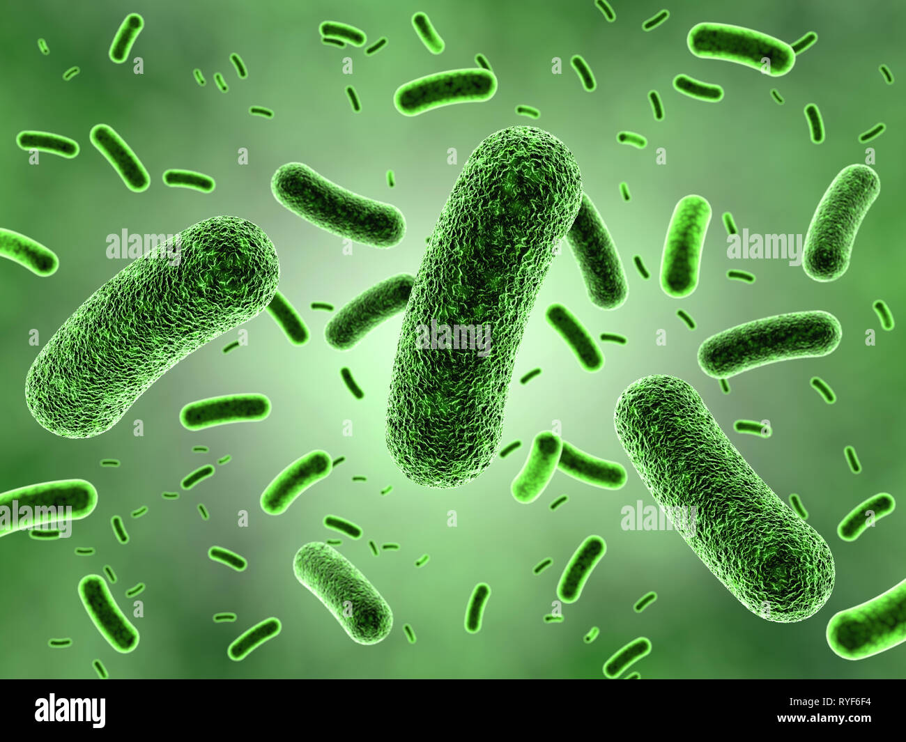 Bacteria microscope food hi-res stock photography and images - Alamy