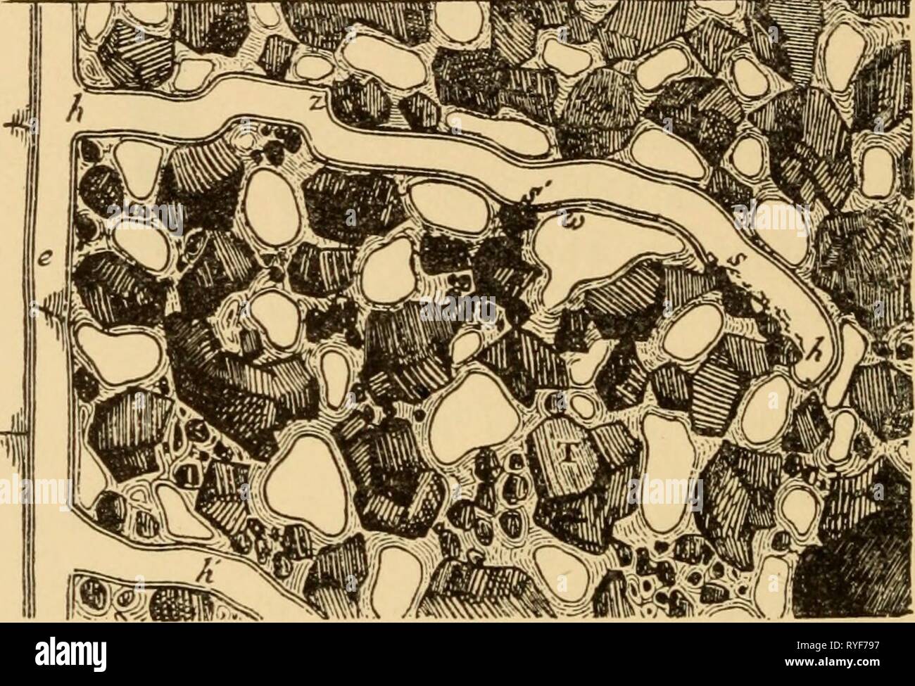 Elementary principles of agriculture; a Stock Photo - Alamy