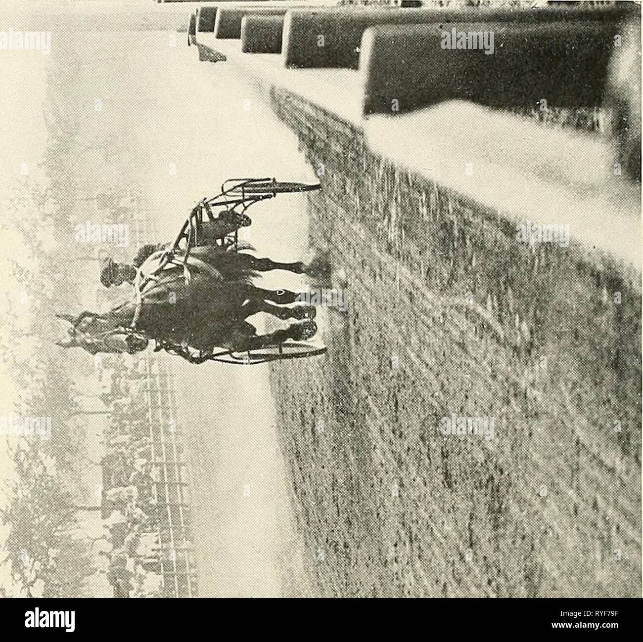 The driving clubs of greater Stock Photo - Alamy