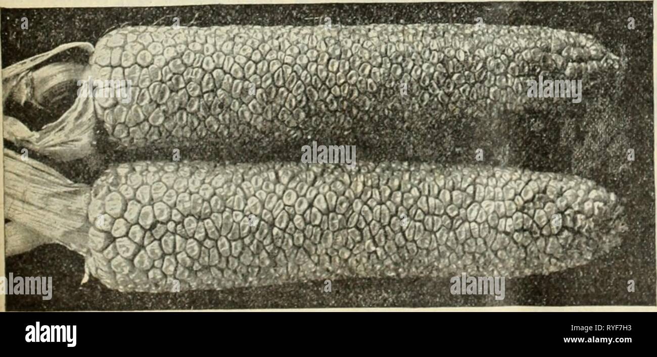 Ultra viz hi-res stock photography and images - Alamy