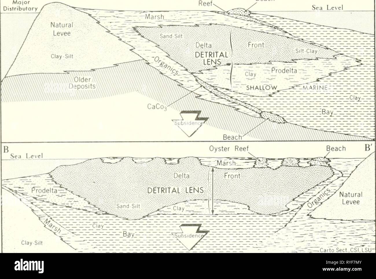 The ecology of delta marshes Stock Photo - Alamy