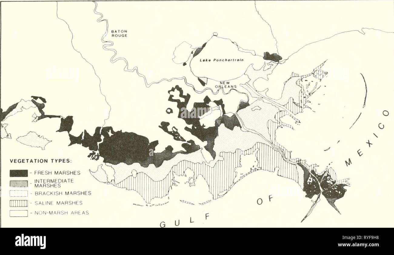 The ecology of delta marshes Stock Photo - Alamy