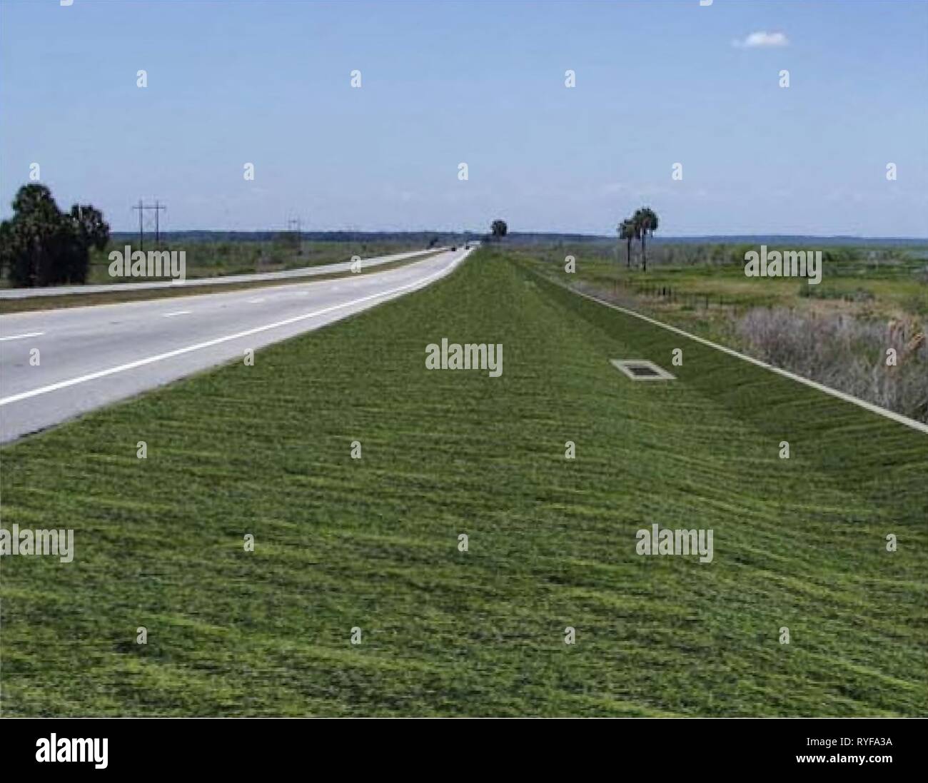 Habitat fragmentation road hi-res stock photography and images - Alamy