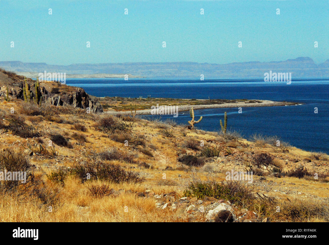Desert meets sea hi-res stock photography and images - Alamy