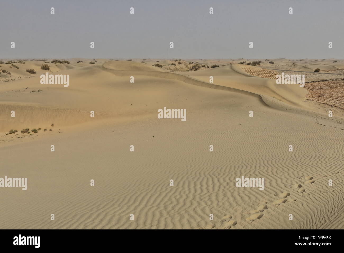 Niter bush hi-res stock photography and images - Alamy