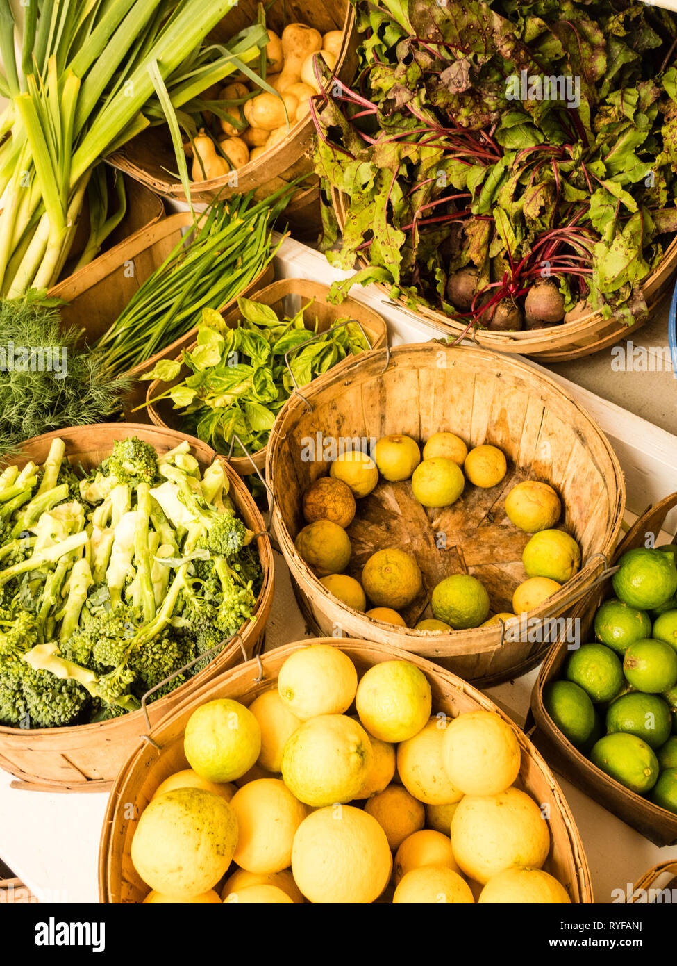 Fresh Local Produced Organic Food, Eleuthera Island Farm, North ...