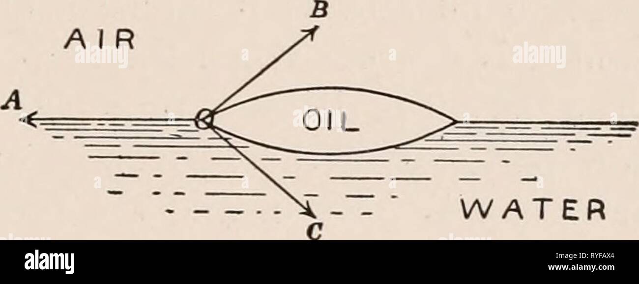 The dynamics of living matter dynamicsofliving00loeb Year: 1906 ON SOME ...