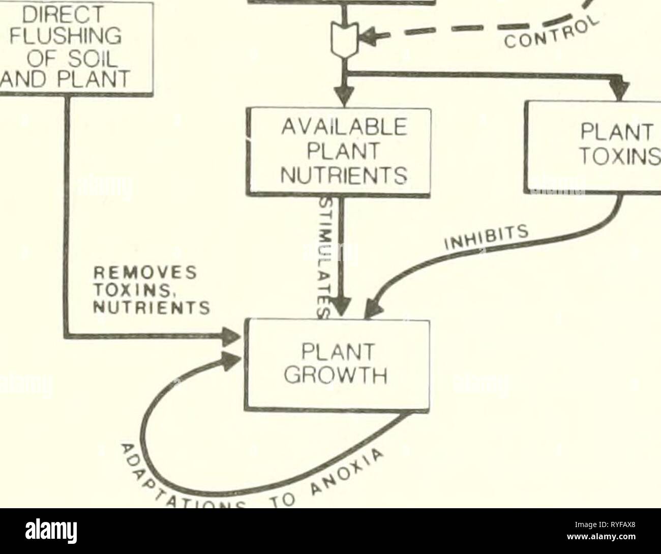 The ecology of delta marshes Stock Photo - Alamy