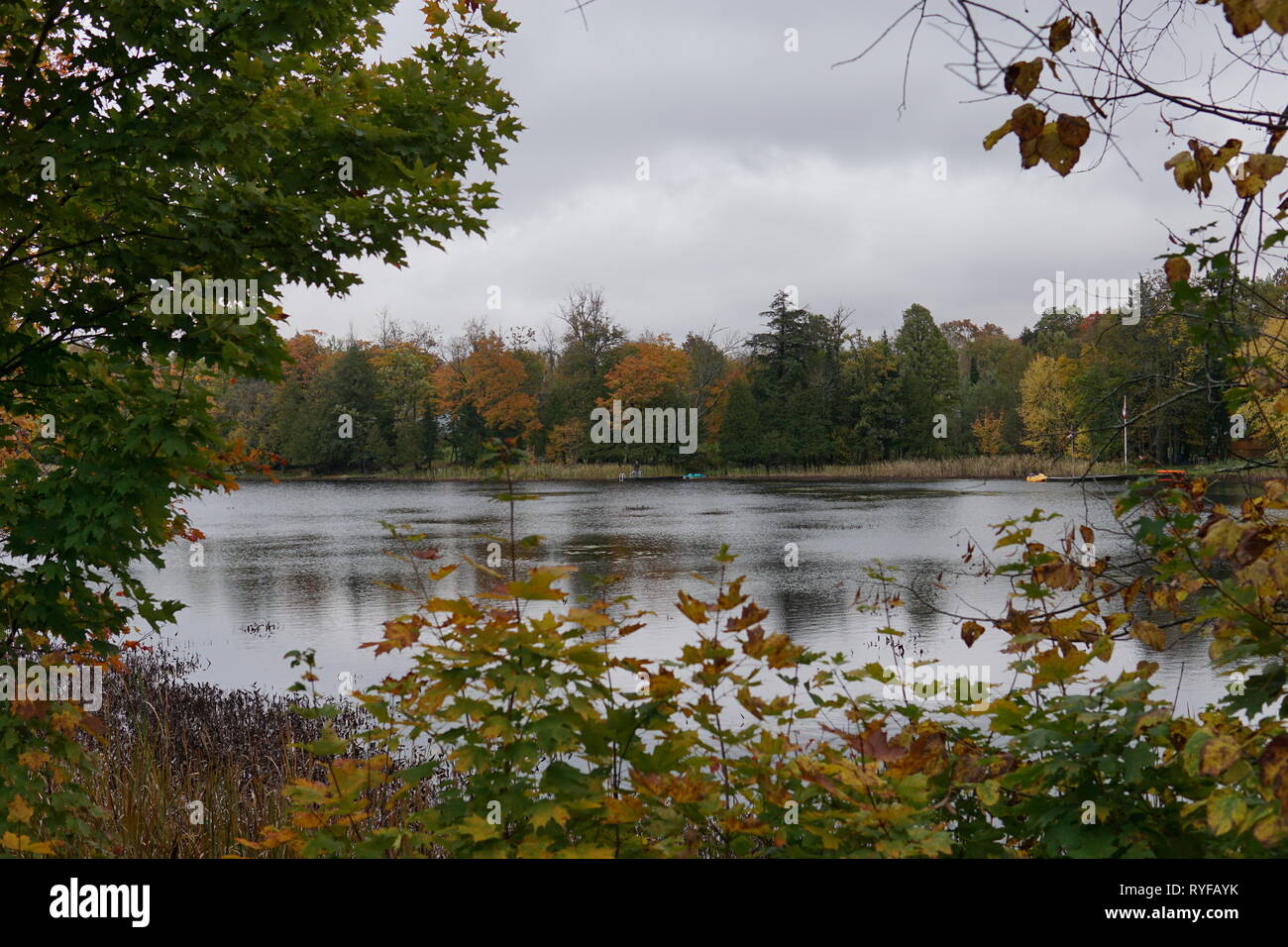 Fall Color in Muskoka Stock Photo - Alamy