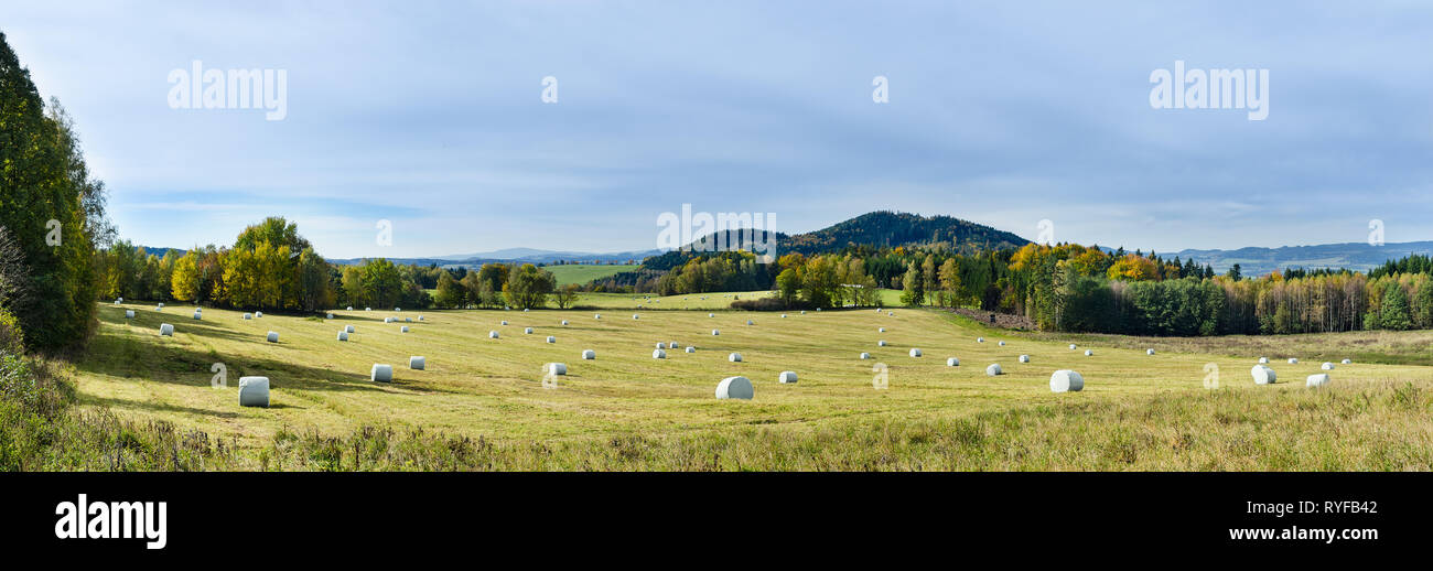 Plastic wraps hi-res stock photography and images - Alamy