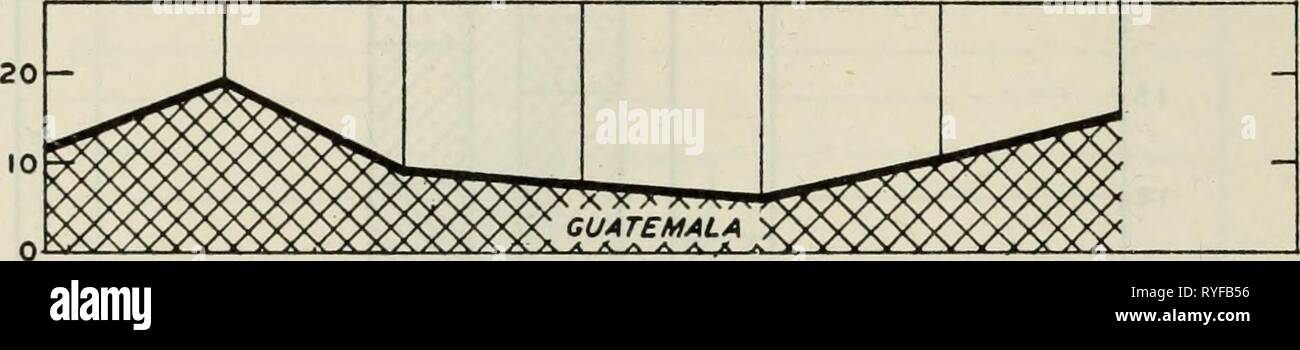 Economic aspects of the bee Stock Photo - Alamy