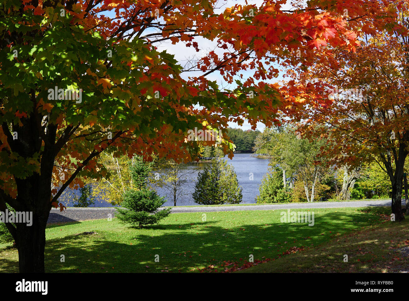 Fall Color in Muskoka Stock Photo - Alamy