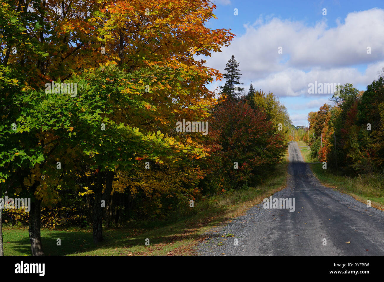 Fall Color in Muskoka Stock Photo - Alamy