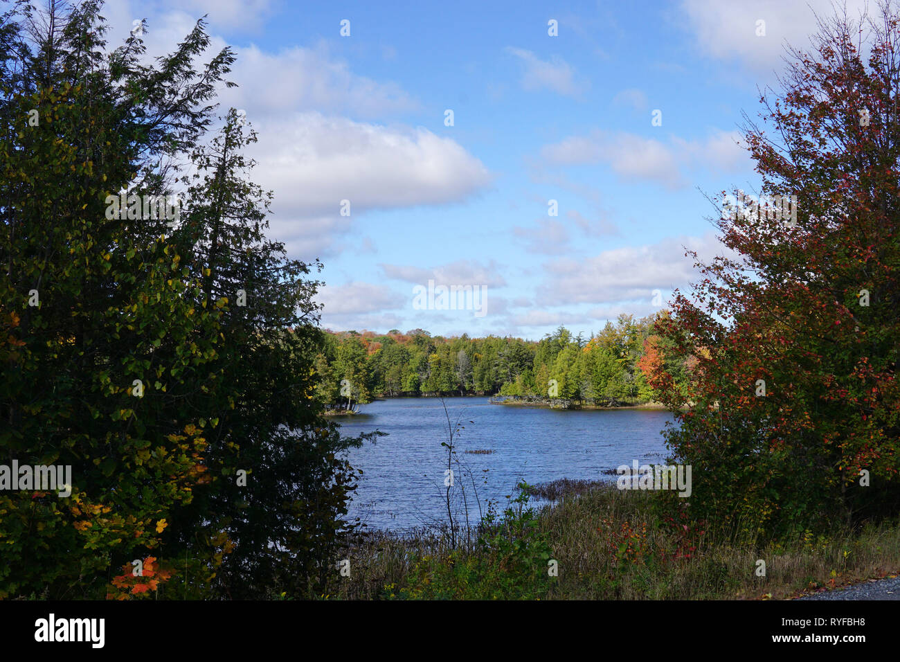 Fall Color in Muskoka Stock Photo - Alamy