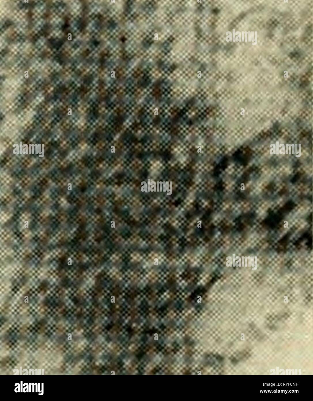 Electron-microscopic structure of protozoa (1963 Stock Photo - Alamy