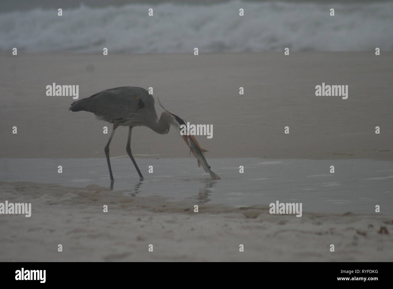 Grab your head hi-res stock photography and images - Alamy