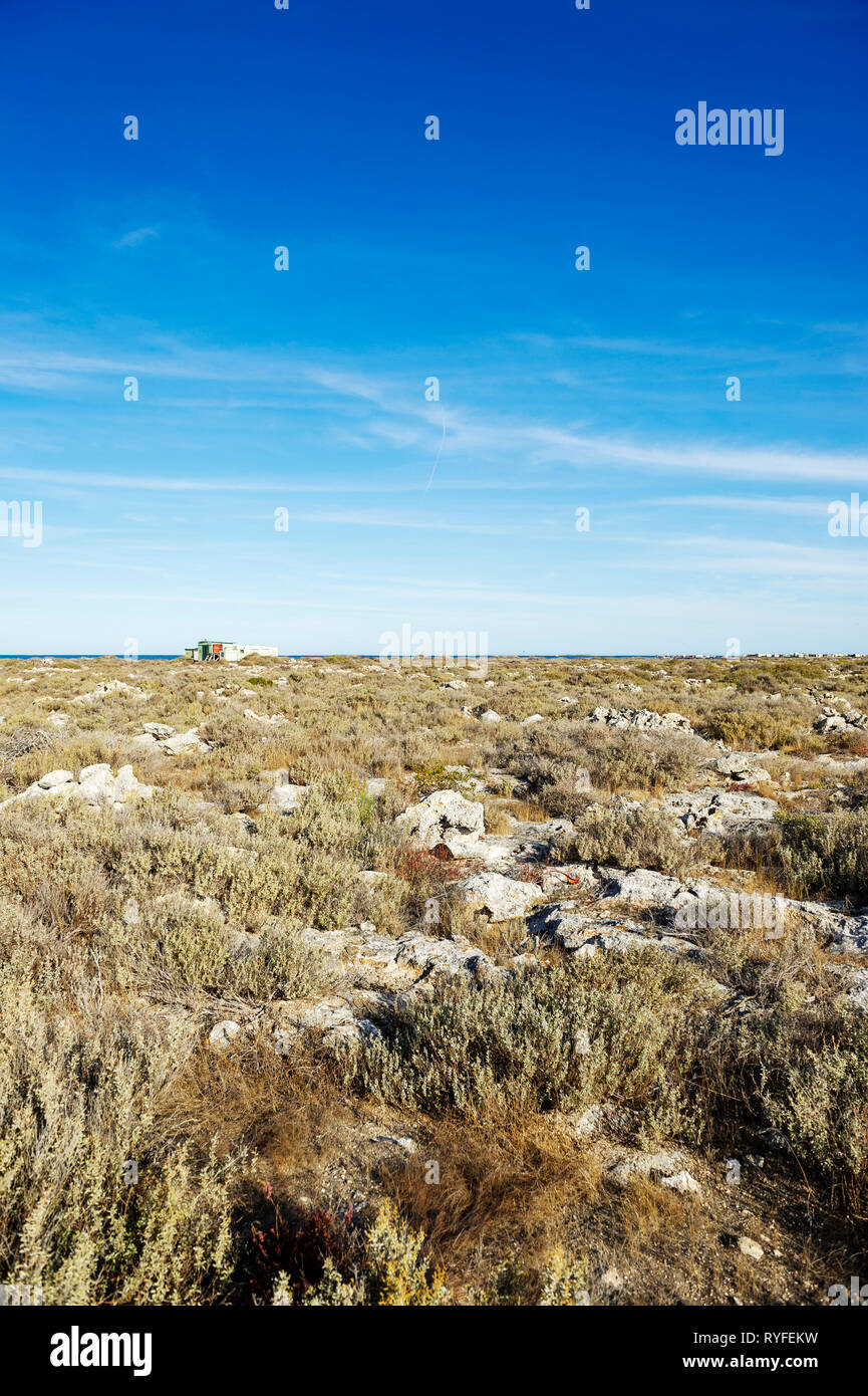 Big Rat Island in the Houtman Abrolhos shows the effects of guano ...
