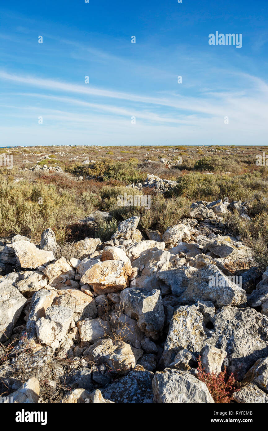 Guano islands hi-res stock photography and images - Alamy