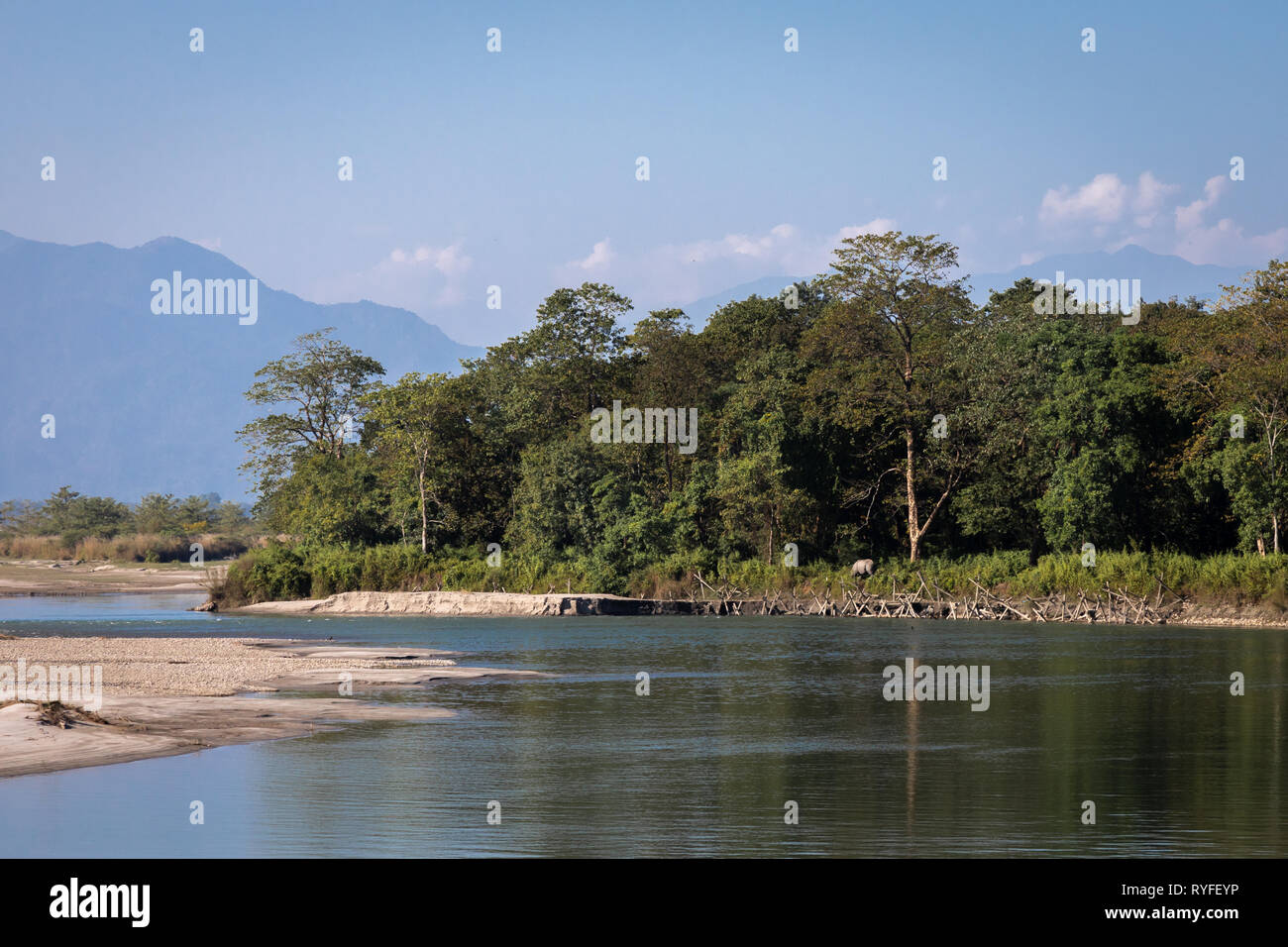 Manas national park hi-res stock photography and images - Alamy