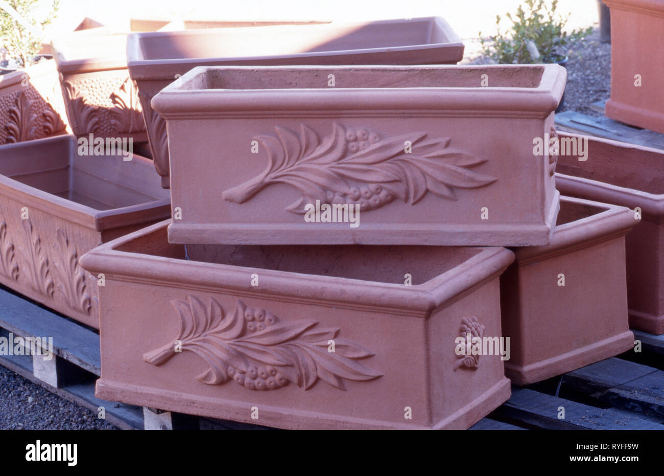 NEW TERRACOTTA PLANTER BOXES FOR SALE IN LOCAL NURSERY IN SYDNEY, NEW ...