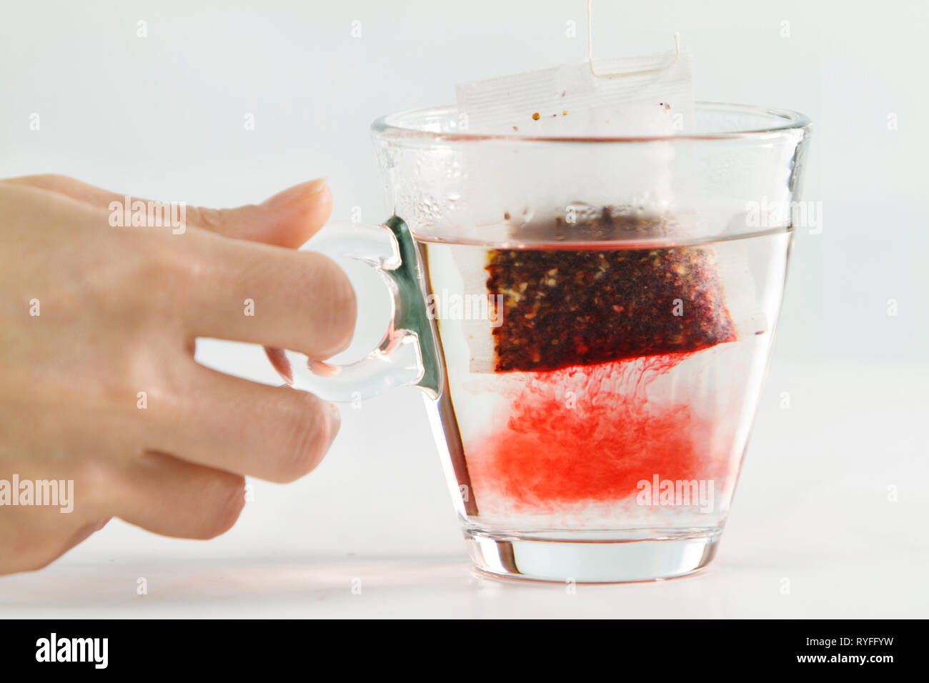 Close-up of a woman hand dipping a sachet of Hibiscus Tea in a glass ...