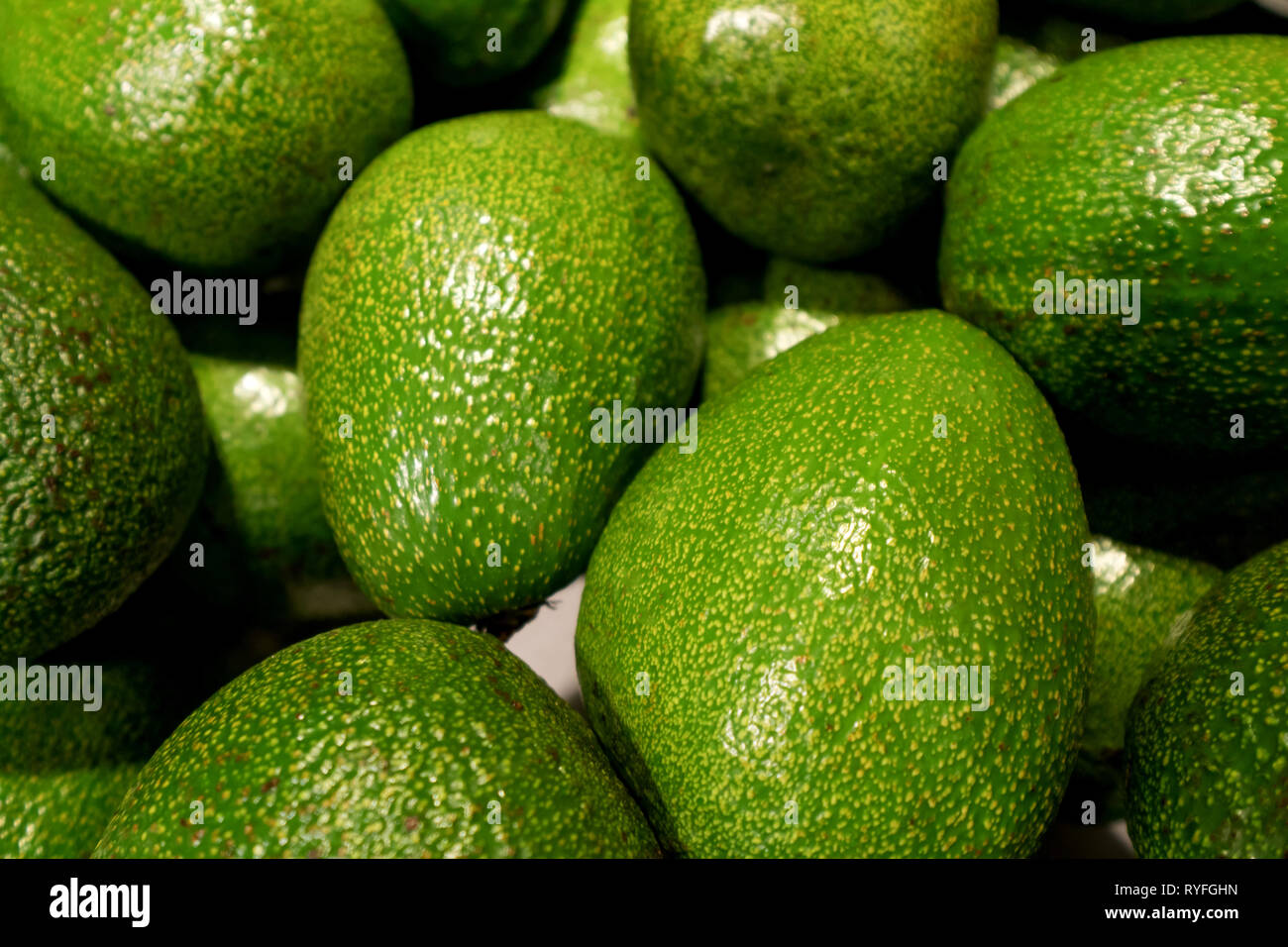 Beautiful avocados hi-res stock photography and images - Alamy