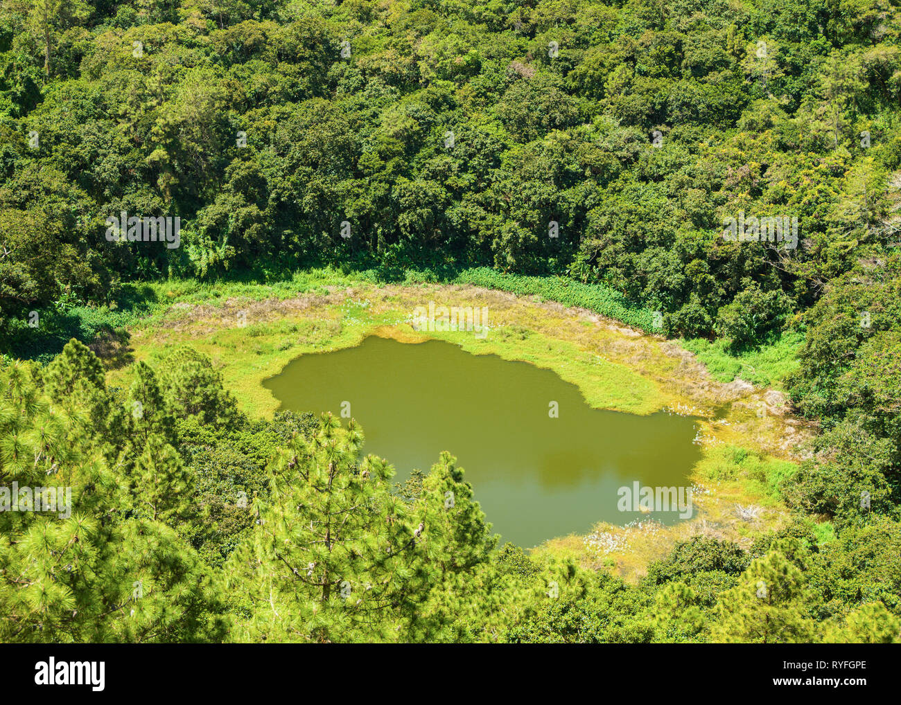 Aerial view of Trou Aux Cerf Volcano (also known as Murr's Volcano) in ...