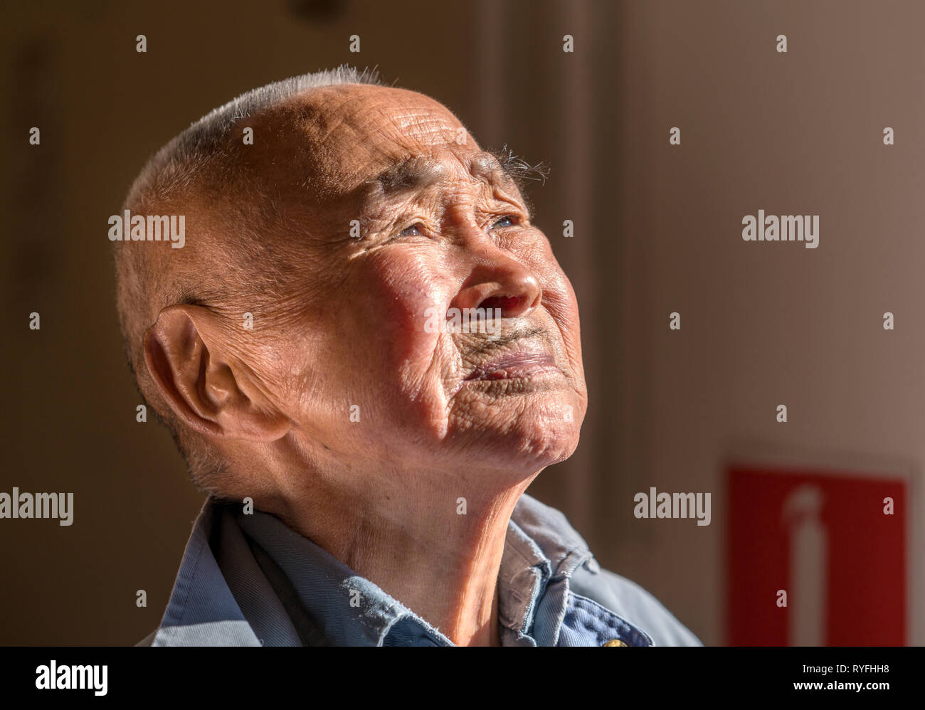 Portrait of Senior Greenlander, South Greenland, Iceland Stock Photo ...