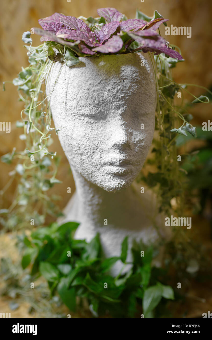 Face made of foliage hi-res stock photography and images - Alamy