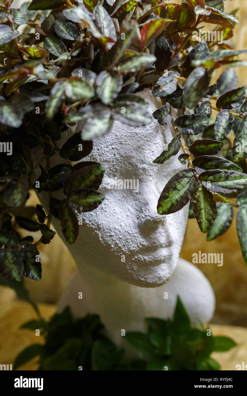 White gypsum head of girl and growing flowers as a hair Stock Photo - Alamy
