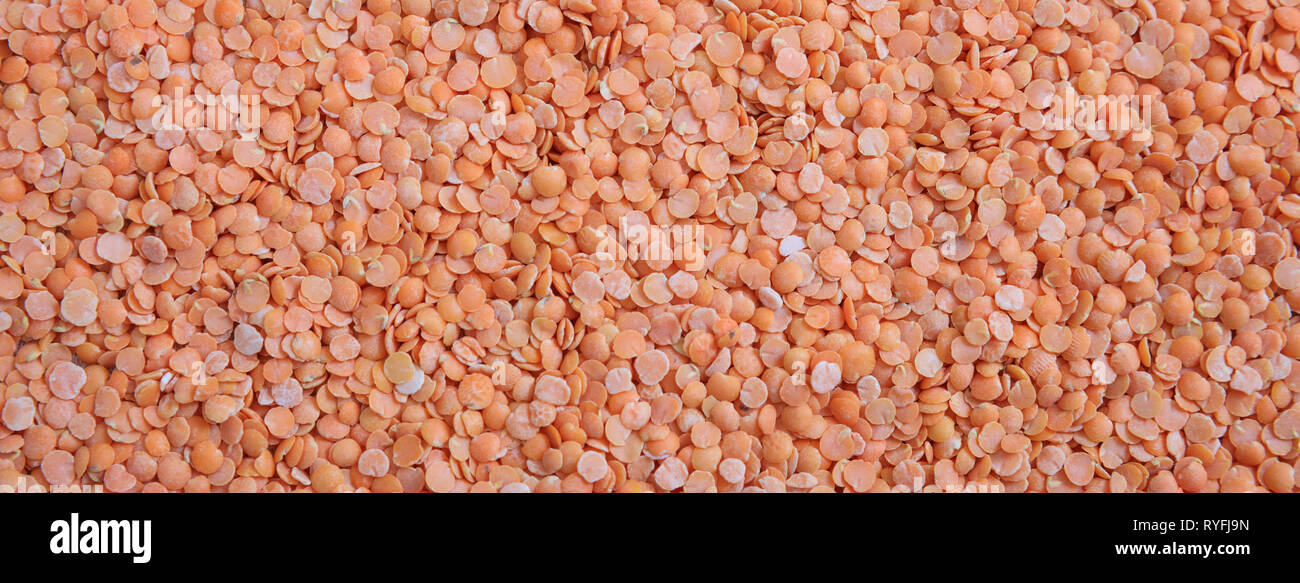 Red lentils. Red orange color split peeled lentils uncooked full ...
