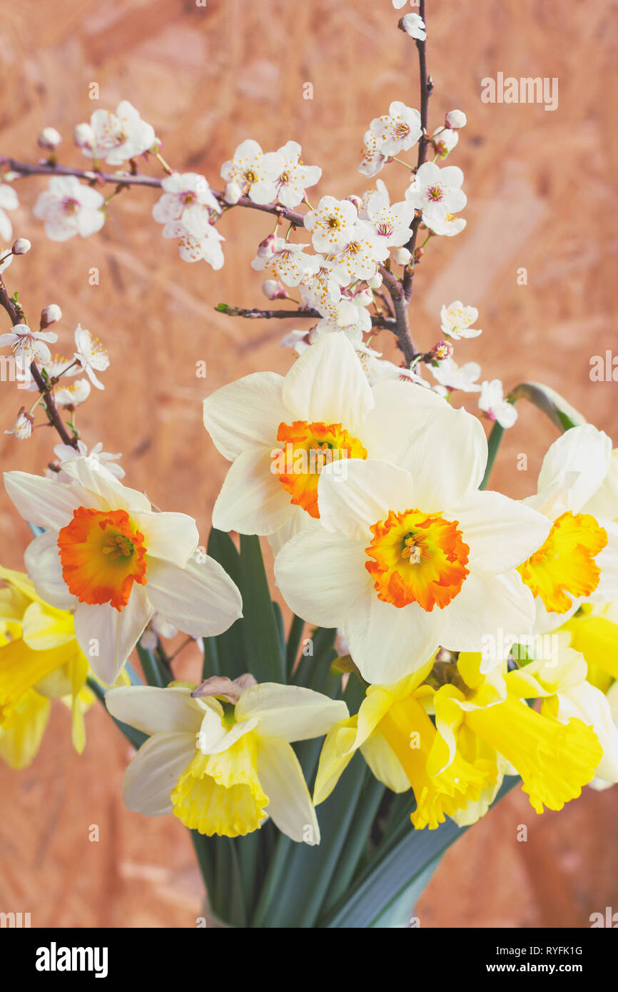 spring bouquet of flowers of narcissus and blooming twigs of fruit tree ...