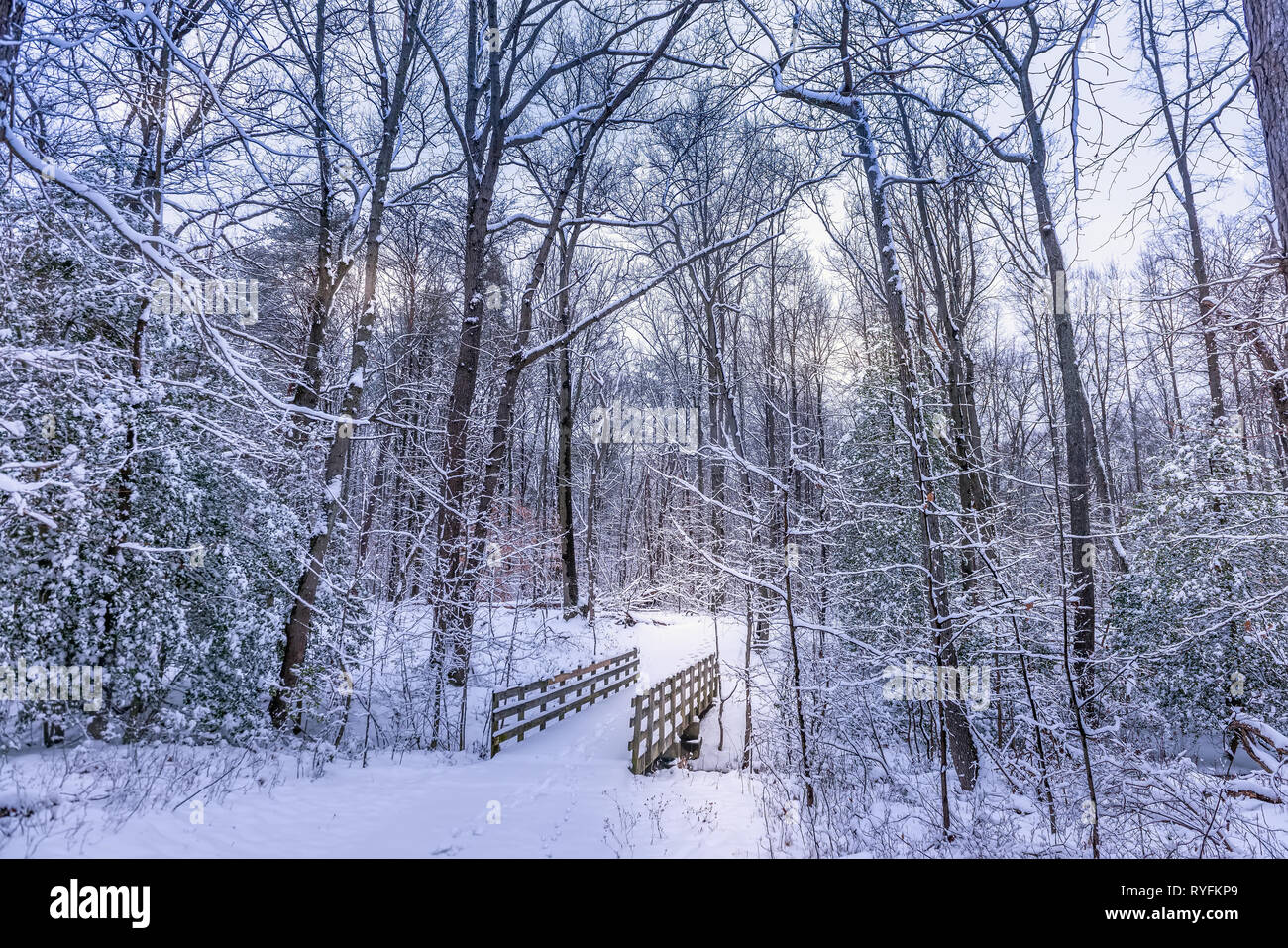 Rustic old walking bridge covered in snow in a frozen forest winter ...