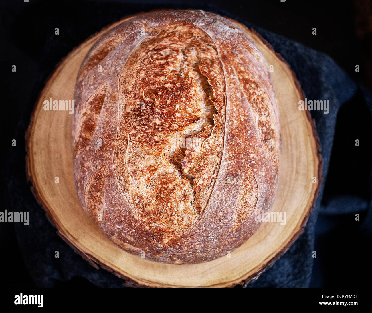 Round loaf of freshly baked homemade artisan ciabatta sourdough bread ...