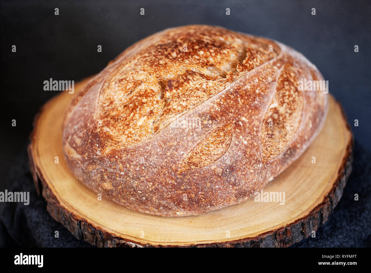 Round loaf of freshly baked homemade artisan ciabatta sourdough bread ...