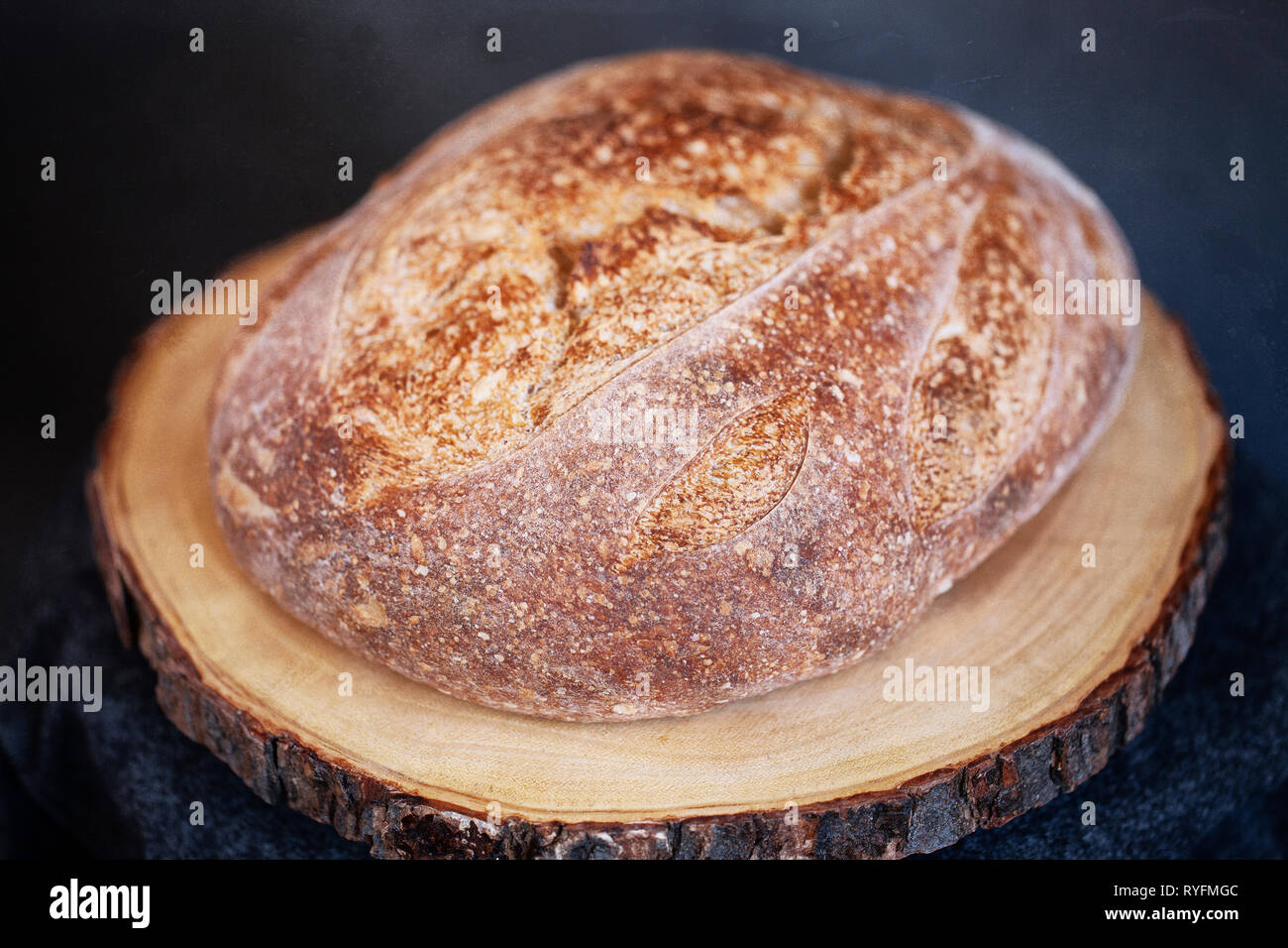 Round loaf of freshly baked homemade artisan ciabatta sourdough bread ...
