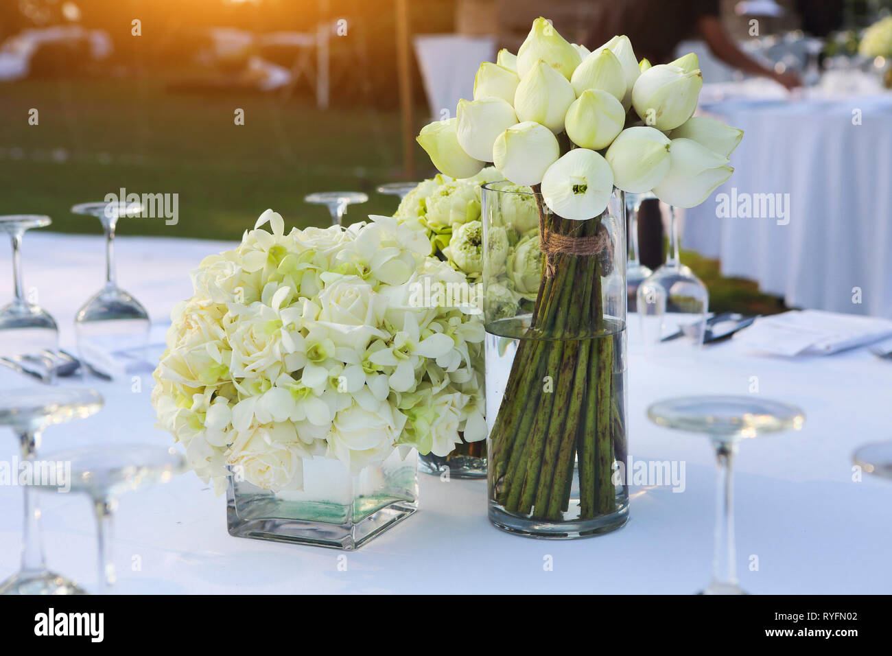 White lotus setting hi-res stock photography and images - Alamy