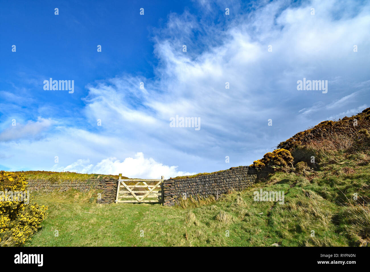 A field gate and drystone wall at Morte Point, North Devon, England ...